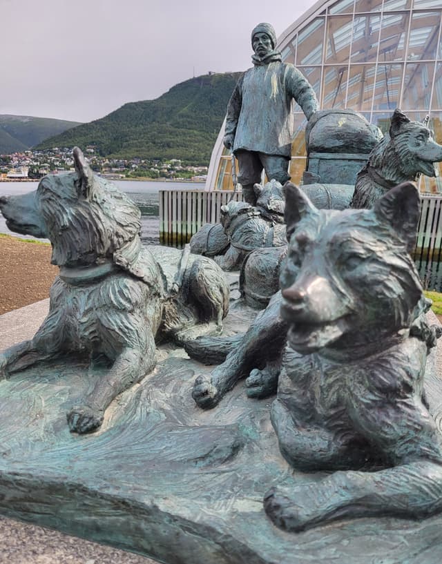 Polar Bear Discovery Walk, incl. Polar Museum & Polaria | OK TROMSØ